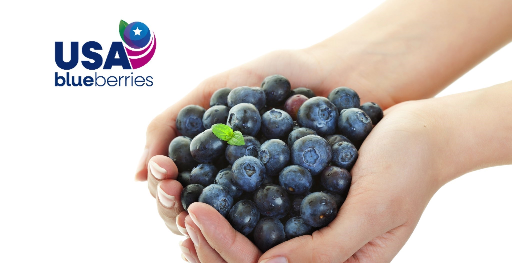 USハイブッシュブルーベリー協会日本代表事務所を 2024年4月よりアビアレップス㈱が委託 | USハイブッシュブルーベリー協会